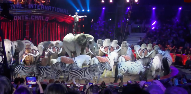 Individual Inductees - The Circus Ring of Fame